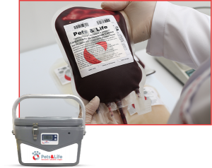 Banco de Sangue e Hemocentro - Pets&Life